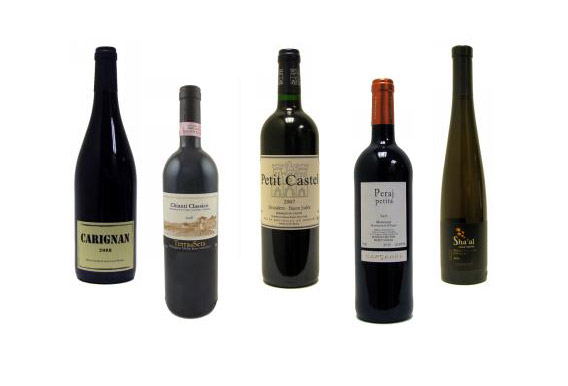 Our Favorite Kosher Wines For Passover | Tasting Notes